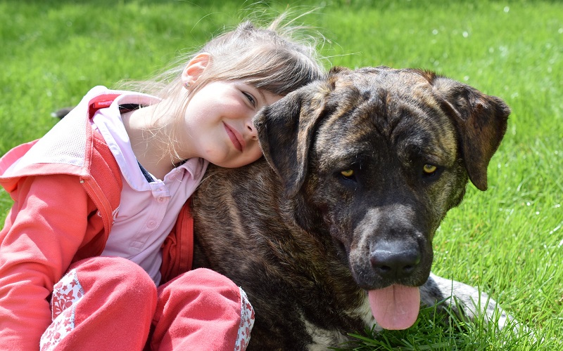 Supervising Dogs and Children-It's Not Enough - Tips from a Dog Trainer.